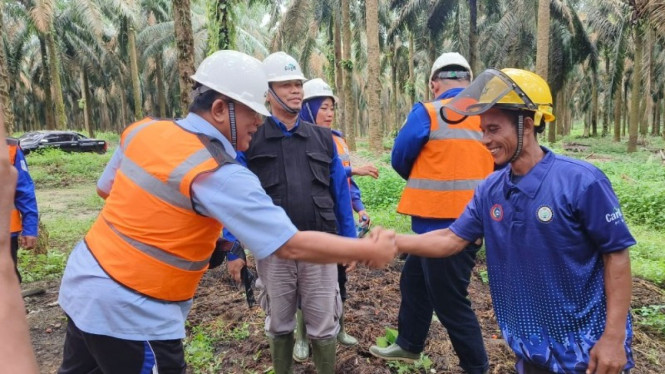 Kunjungan Ke Kebun Sawit, Jumhur Hidayat: Tirulah Cargill Dalam ...