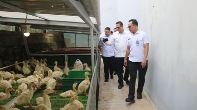 Utusan Khusus Menteri Imipas Buktikan Langsung Inovasi Ketahanan Pangan ...