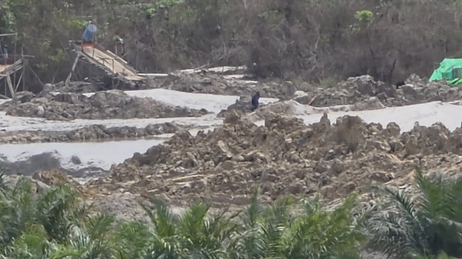 PETI Marak di Kalbar, LSM Minta BAIS dan BIN Selidiki Pemodal dan ...