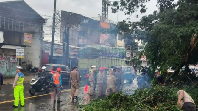 Pohon Tumbang Tutupi Jalan RE Martadinata Ciputat Timur