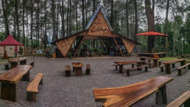 Perhutani Berpotensi Menguasai Pasar Wellness Etnaprana Tourism di ...