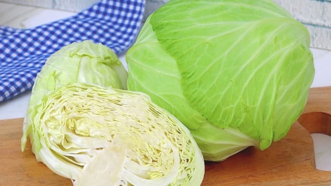 RESEP: 3 Olahan Makanan dari Kubis yang Lezat dan Rendah Kalori, Cocok ...