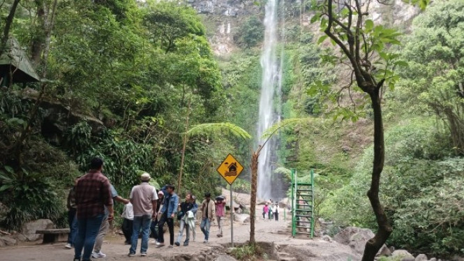 Hutan Jadi Sumber Ketenangan dan Keuntungan, Ini Terobosan Gila ...