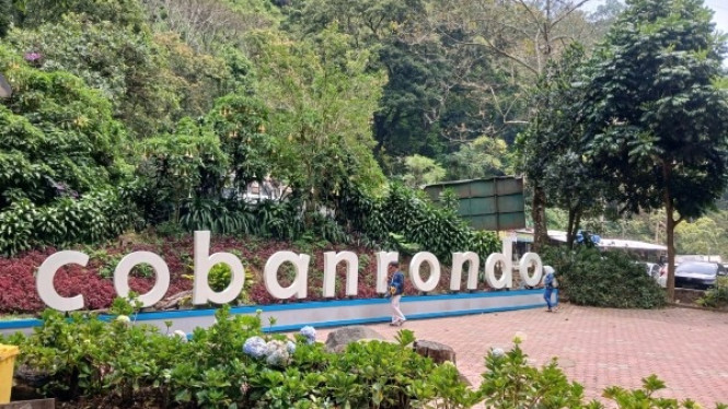 Villa Merkusi: Merayakan Wellness dan JOMO di Tengah Hutan Coban Rondo