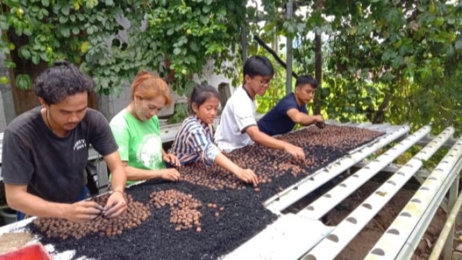 Perjuangan Tanpa Lelah Mimin Nyidewi, Srikandi Hijau yang Jadi Penjaga ...