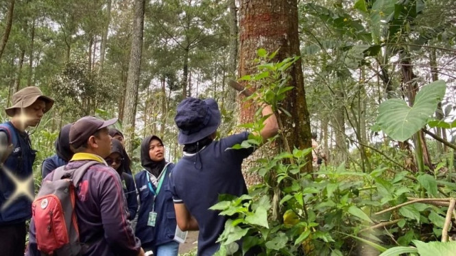 Forest Healing: Terapi Alam di UB Forest Malang untuk Kesehatan dan ...