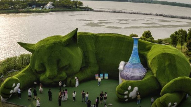 Fat Cat Island: Surga Wisata Ramah Kucing di China yang Wajib Masuk ...