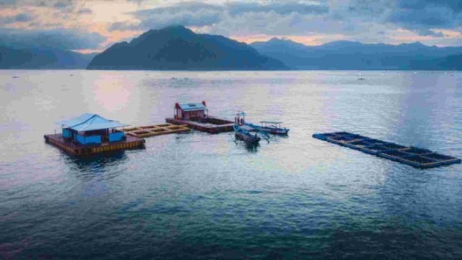 Rumah Apung Rembeng Raya, Sensasi Wisata Tengah Laut di Pesisir Selatan ...
