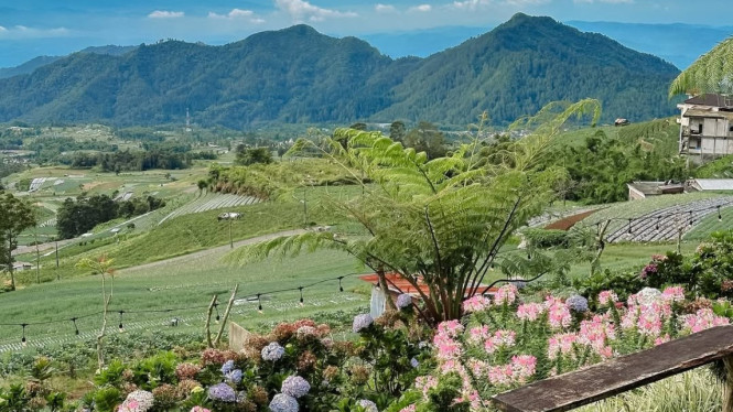 Penginapan Griyo Butuh – Glamping dan Staycation Instagramable Dekat ...
