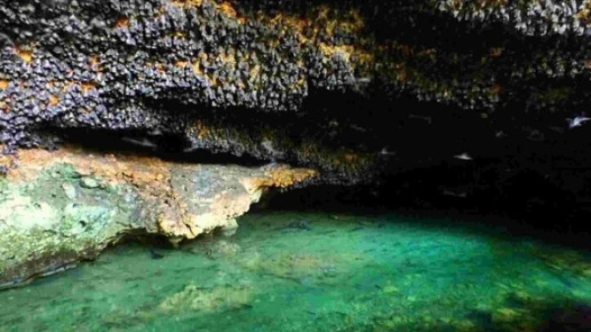 Goa Ngerong Tuban: Wisata Alam dan Terapi Ikan yang Unik di Jawa Timur