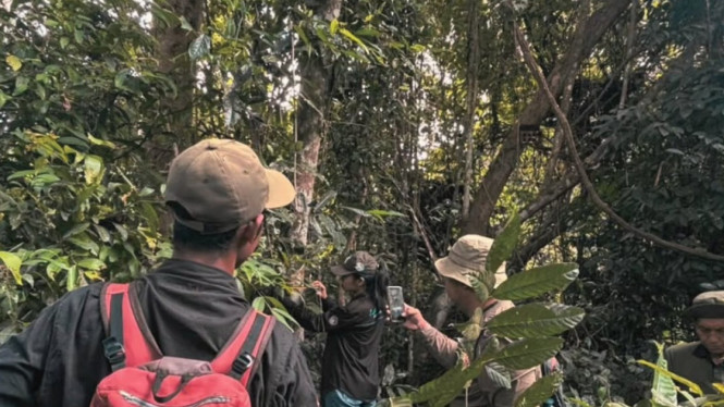 Mengenal Smart Patrol Taman Nasional Bali Barat, Garda Sunyi Penjaga ...