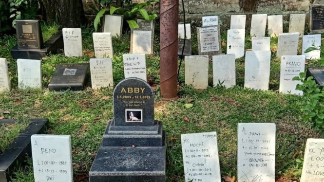 Taman Makam Satwa Ragunan, Tempat Pemakaman Hewan Peliharaan di Jakarta ...