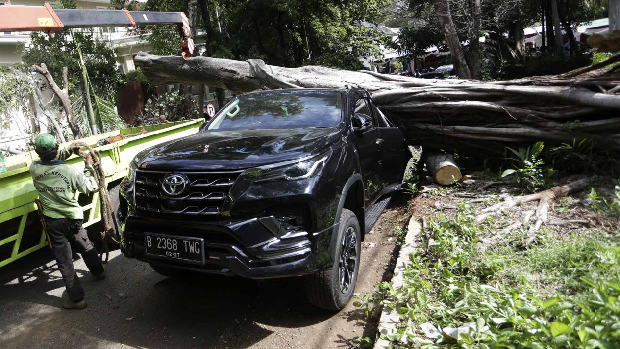 Penampakan Mobil Tertimpa Pohon Tumbang - Vlix.id