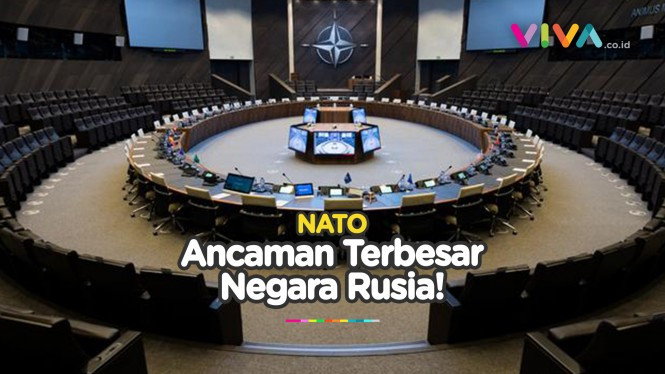 Mengenal NATO, Organisasi Militer Terkuat di Dunia! - Vlix.id